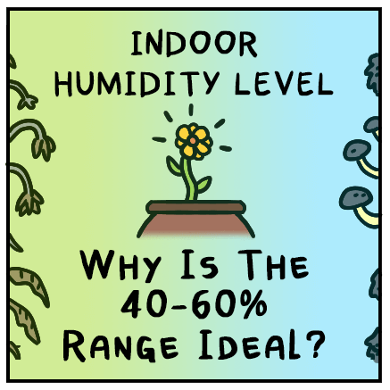 [2025 Guide] What’s the Ideal Humidity for Your Home? Find Out!
