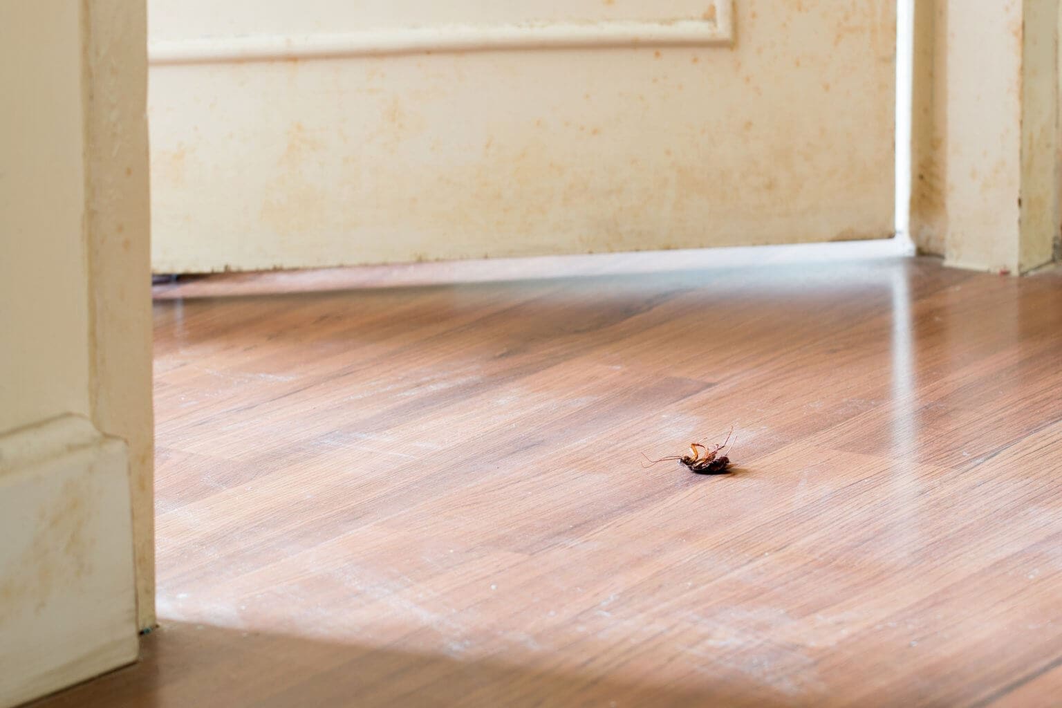 Sick Building Syndrome and Indoor Air Quality - IAQ.Works